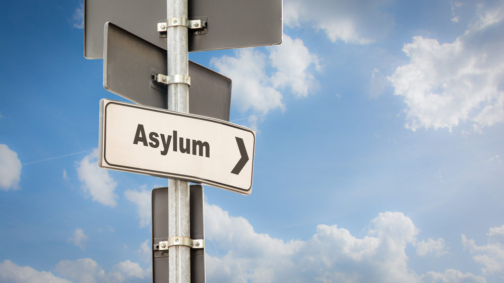 Affirmative Asylum Interpreter Requirements - The Immigrant’s Journal
